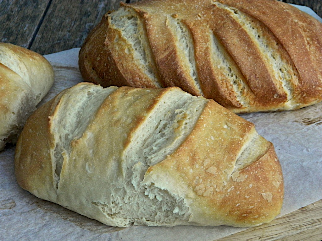 Pane all’Olio (Italian Olive Oil Bread) – Silvia Colloca