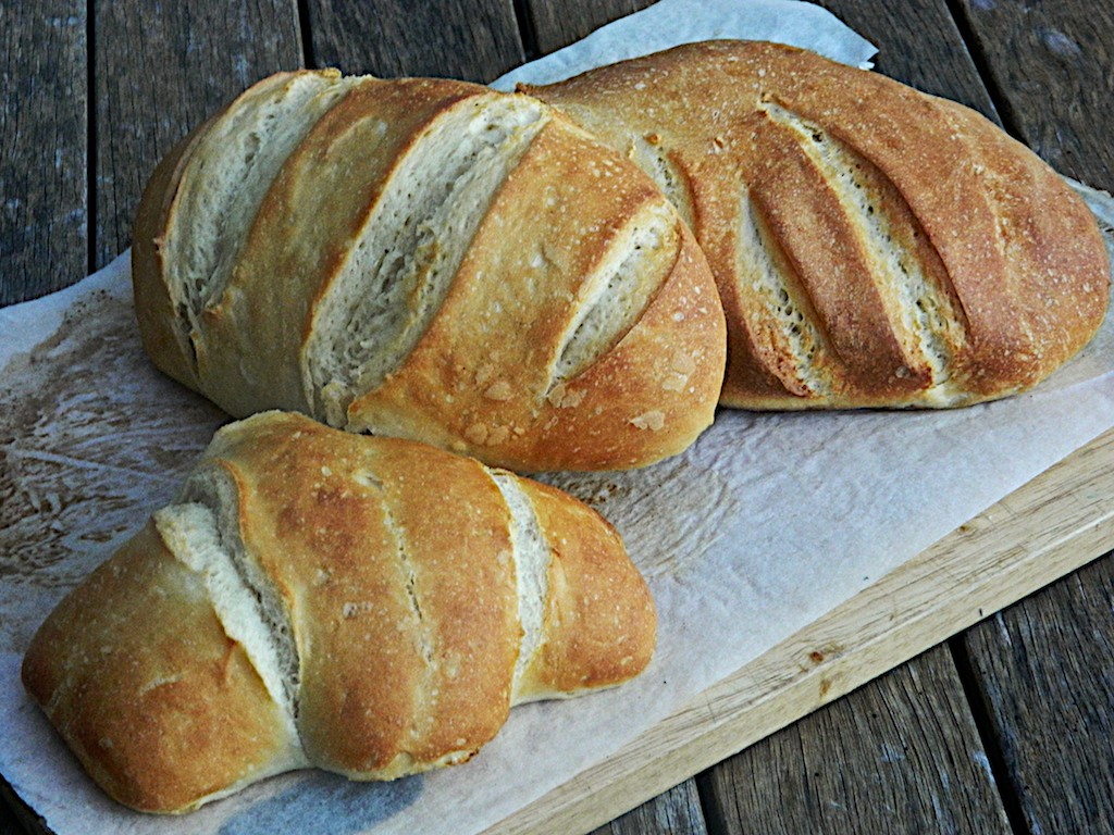 Pane all’Olio (Italian Olive Oil Bread) – Silvia Colloca