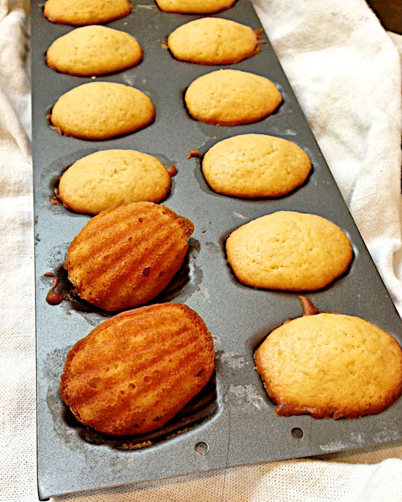 Le Maddalene (Orange and Vanilla Madeleines) – Silvia Colloca